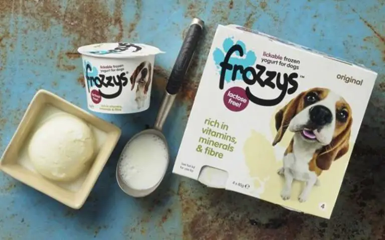 Frozzys for dogs - The tasty frozen yoghurt for your Dog